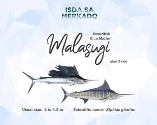 Ibat-Ibang Klase ng Isda at Iba Pang Laman-Tubig na Karaniwang Mabibili ...