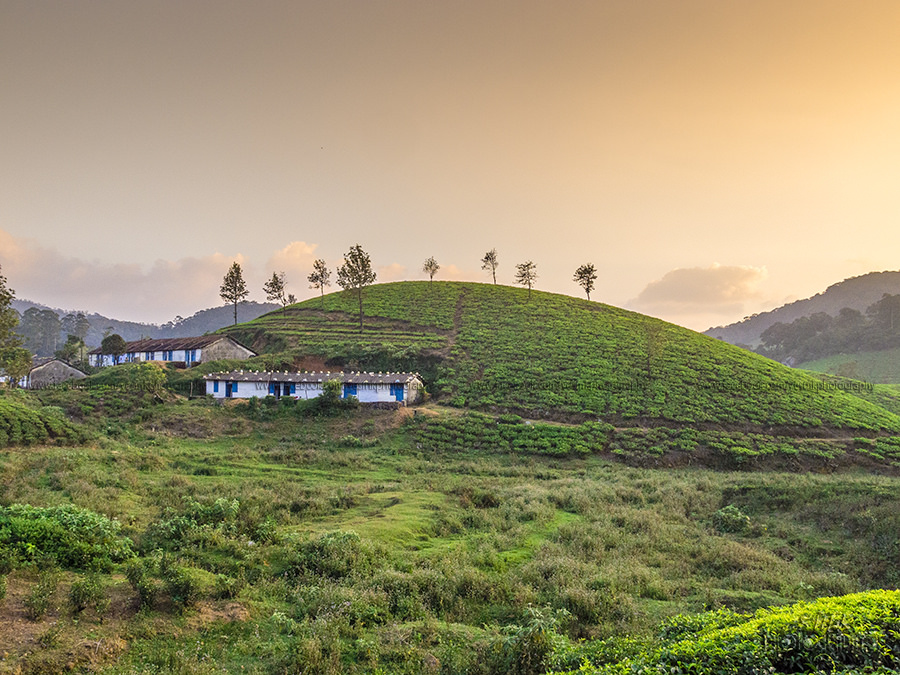 Tamilnadu Tourism: Thirunelveli – General Information