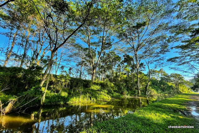 Cheekiemonkies: Singapore Parenting & Lifestyle Blog: [Easy & Gorgeous ...