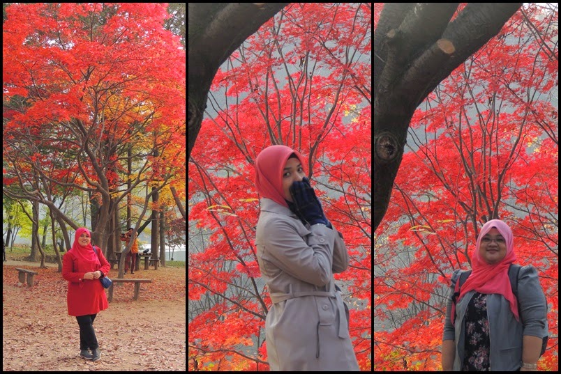 ~KaMpUnG CeKaDaK~: .:Trip to Korea Day 5: Pengalaman naik Zipwire ke ...