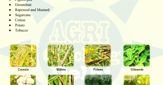 Agrimly: Cultivation of rice, wheat, chickpea, pigeon-pea, sugarcane ...