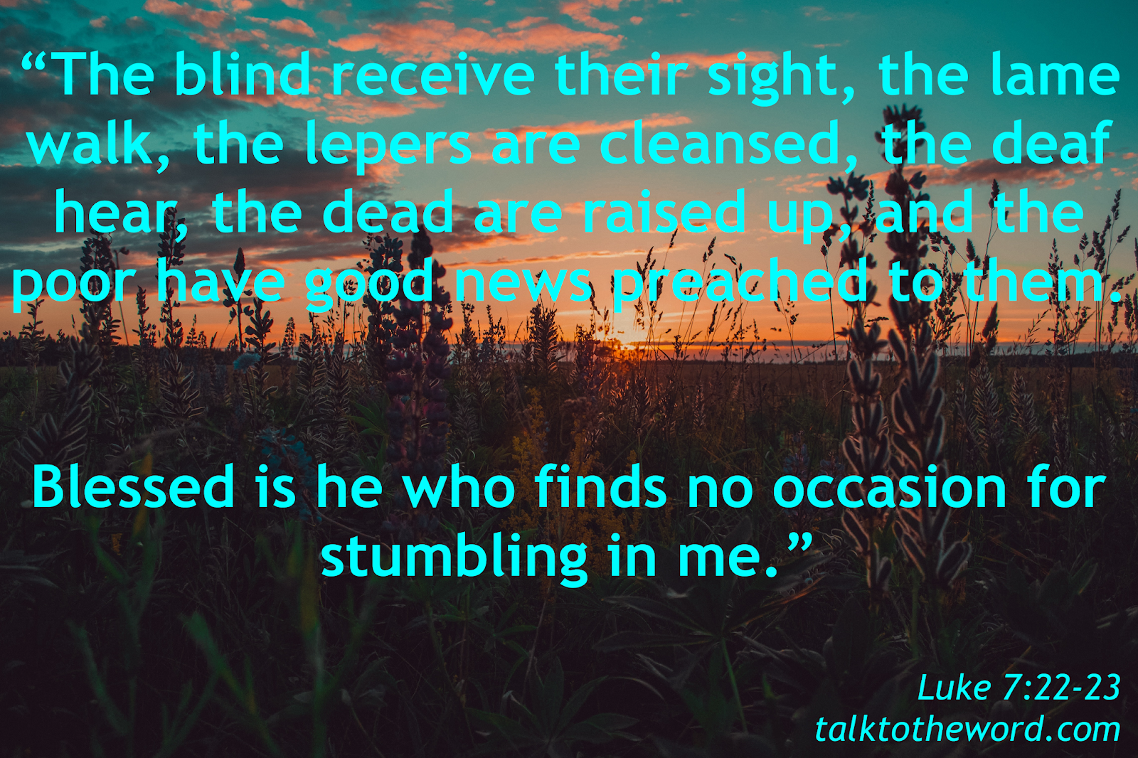 PIB Luke 6-7 Posters