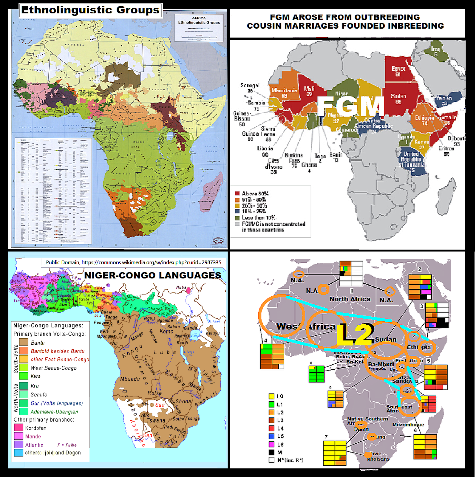 SexualReligion: (136) mtDNA from FGM or Inbreeding