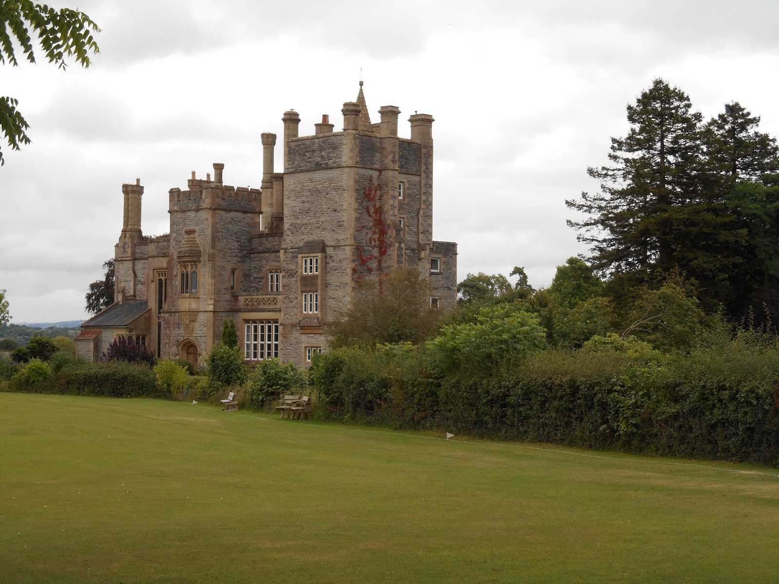 Off the Beaten Track in Somerset: Cedar Avenue, Butleigh