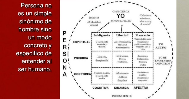 DESARROLLO PERSONAL: LA ESTRUCTURA DE LA PERSONA