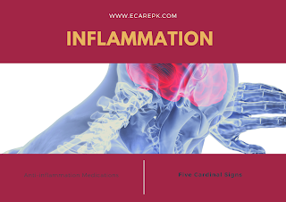 Inflammation -The five cardinal signs of acute inflammation and Anti ...