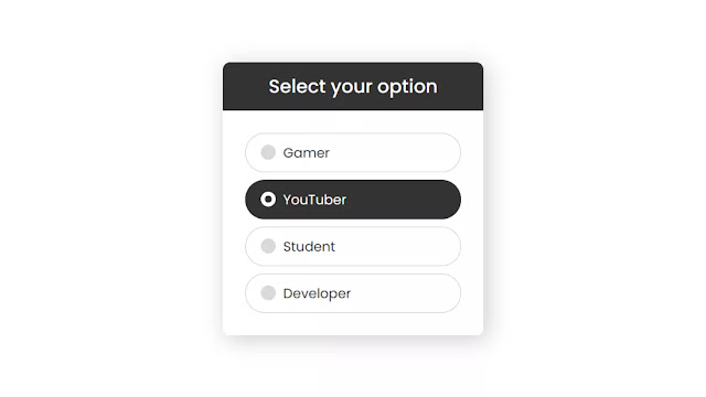 Top 5 Custom CSS Radio Button Examples Top 5 Custom CSS Radio Button Examples