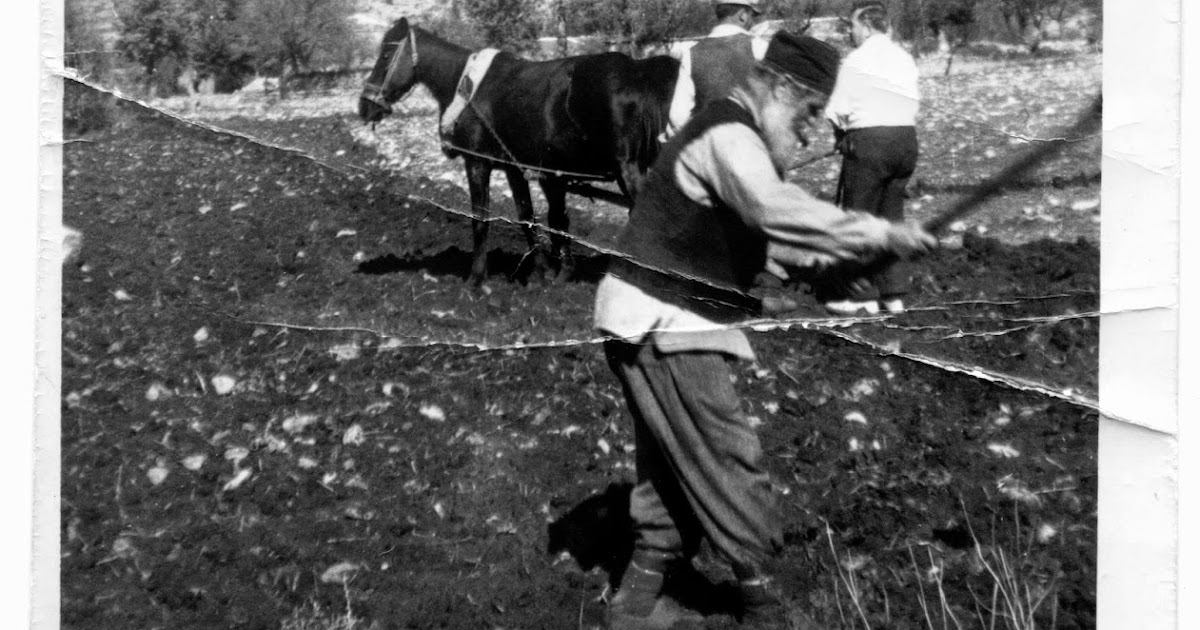 και αλλιώτικα και Τσιταλιώτικα: ΤΟ ΟΡΓΩΜΑ