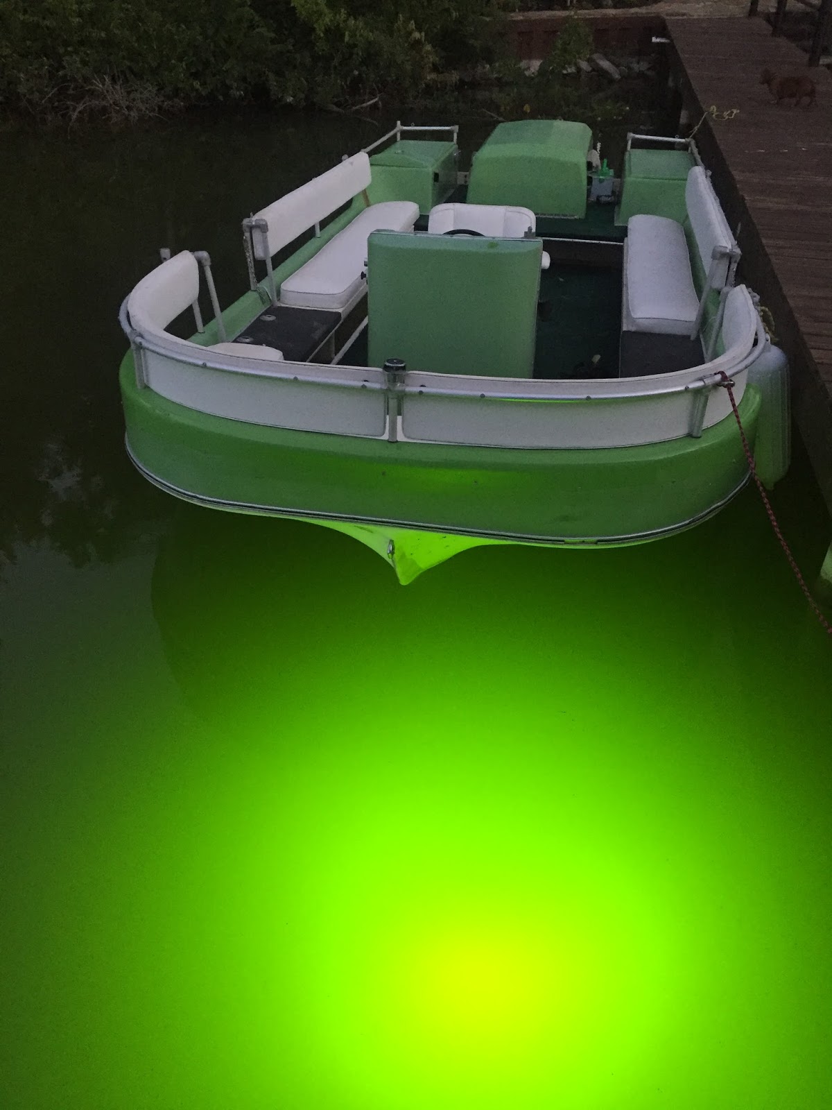 Richland Chambers LakeSide Dreaming: What about the Green Boat?