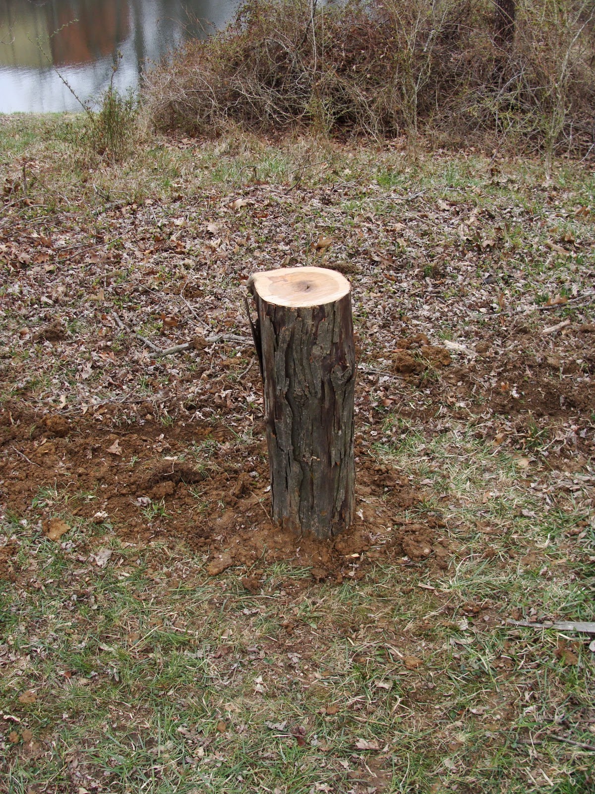 DIY Blacksmithing: Setting the Stump