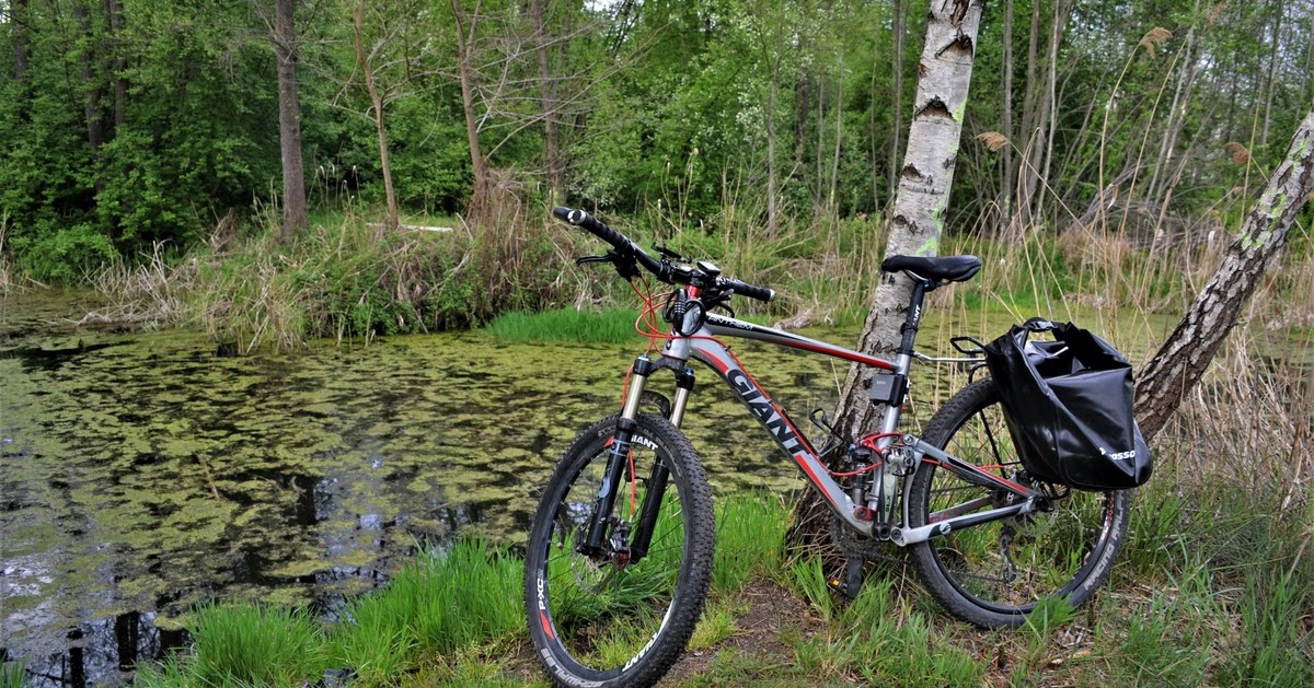 Trupi Lasek (Las Krzyszkowicki) rowerem- Kraków z dziećmi | RODZINNIE DOOKOŁA ŚWIATA