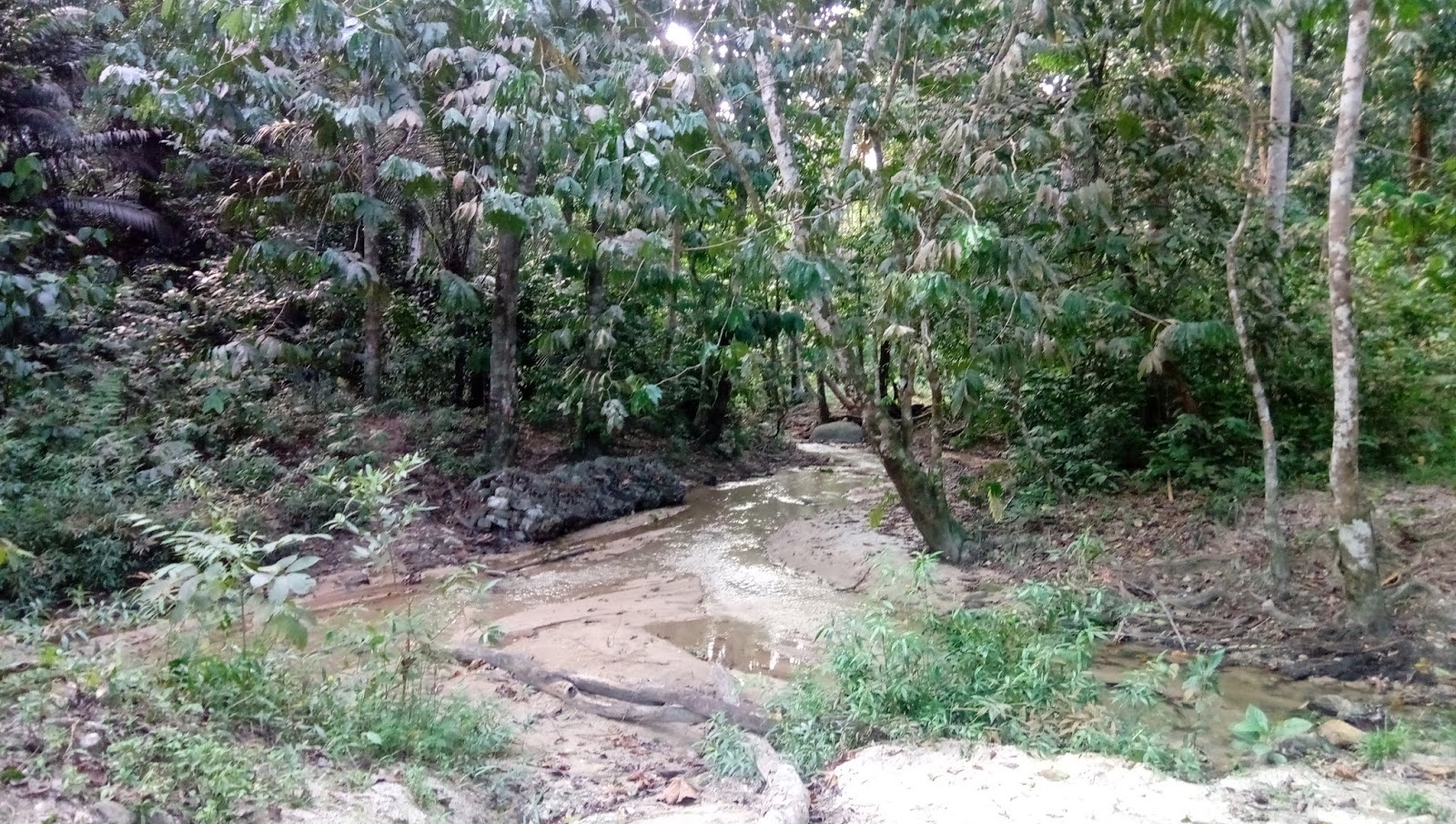 Hutan Lipur Lenggeng.