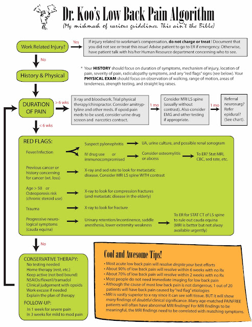 Family Practice Pearls: An Algorithm for Low Back Pain