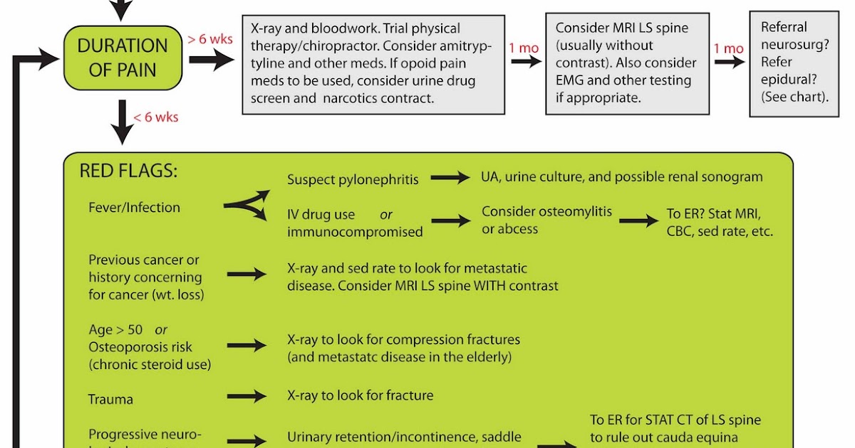 Family Practice Pearls: An Algorithm for Low Back Pain