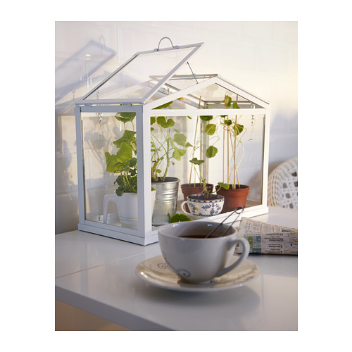 Um jardim para cuidar: Quero uma mini-estufa