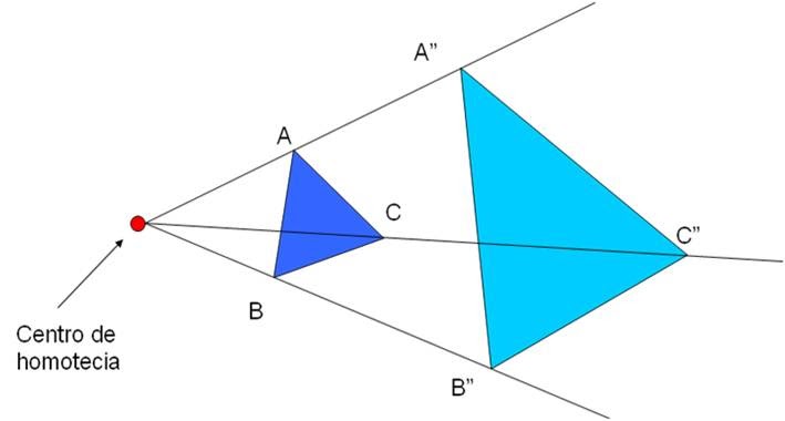Matemáticas dp: HOMOTECIA