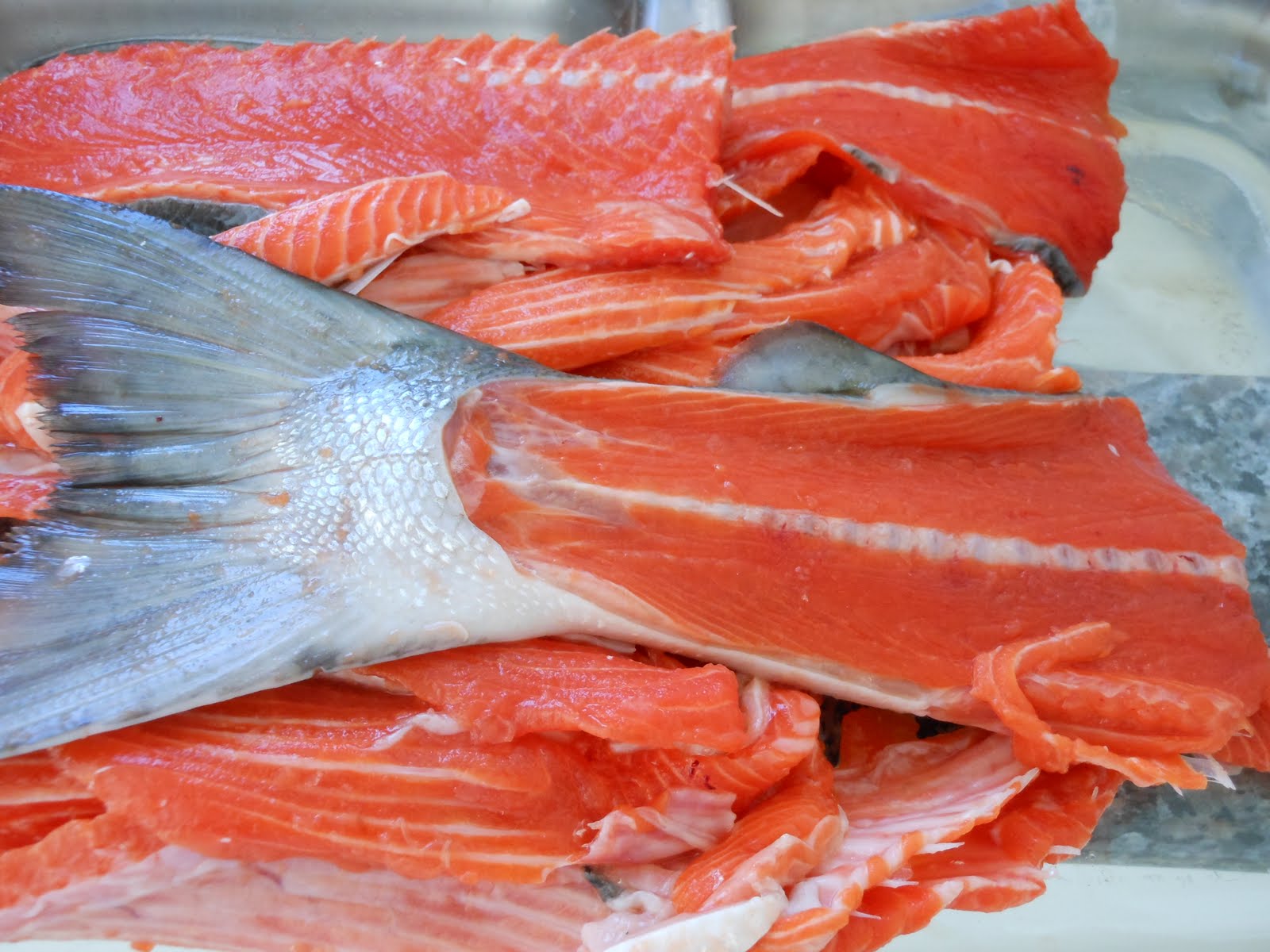 Whealthy House: 08/01/2011 - 09/01/2011