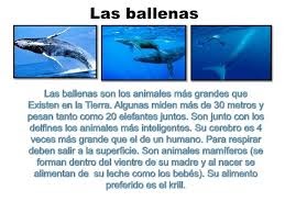 1ro y 2do colegio mozart: 1º TEXTOS INFORMATIVOS / ANIMALES