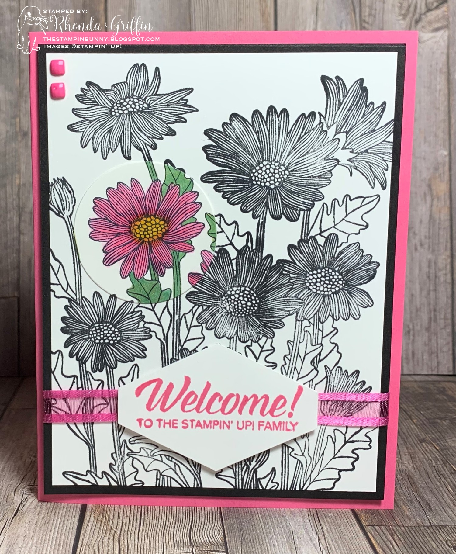The Stampin' Bunny: Daisy Garden Stamp Set Cards and Video