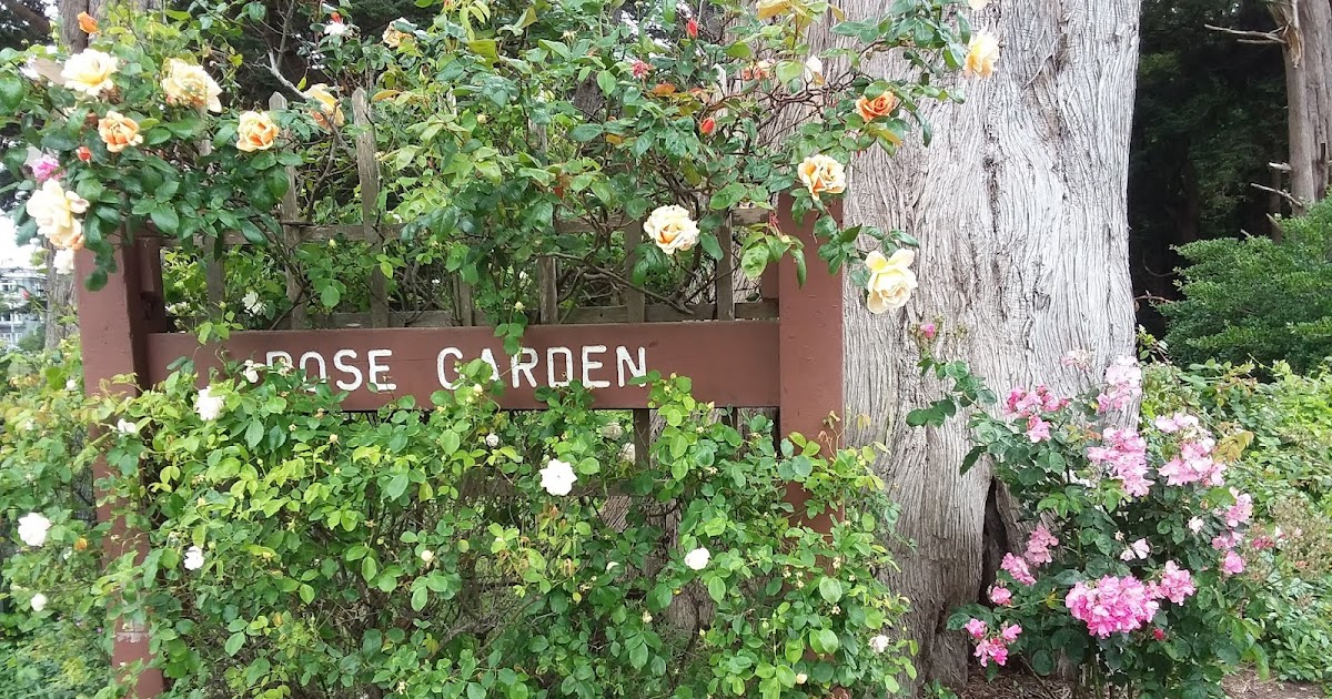 Urban Trek USA San Francisco private walking and sightseeing city tours ...