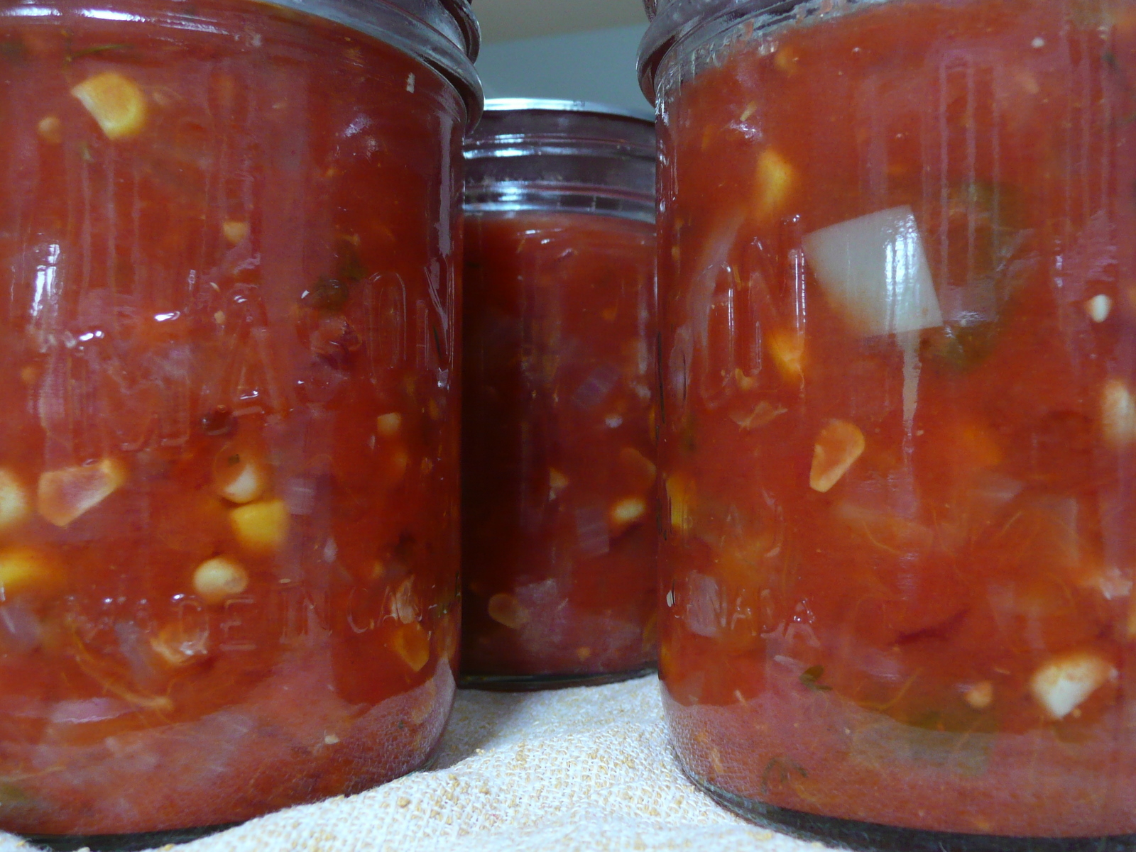 MoniO: Recept na Salsu - Salsa recipe