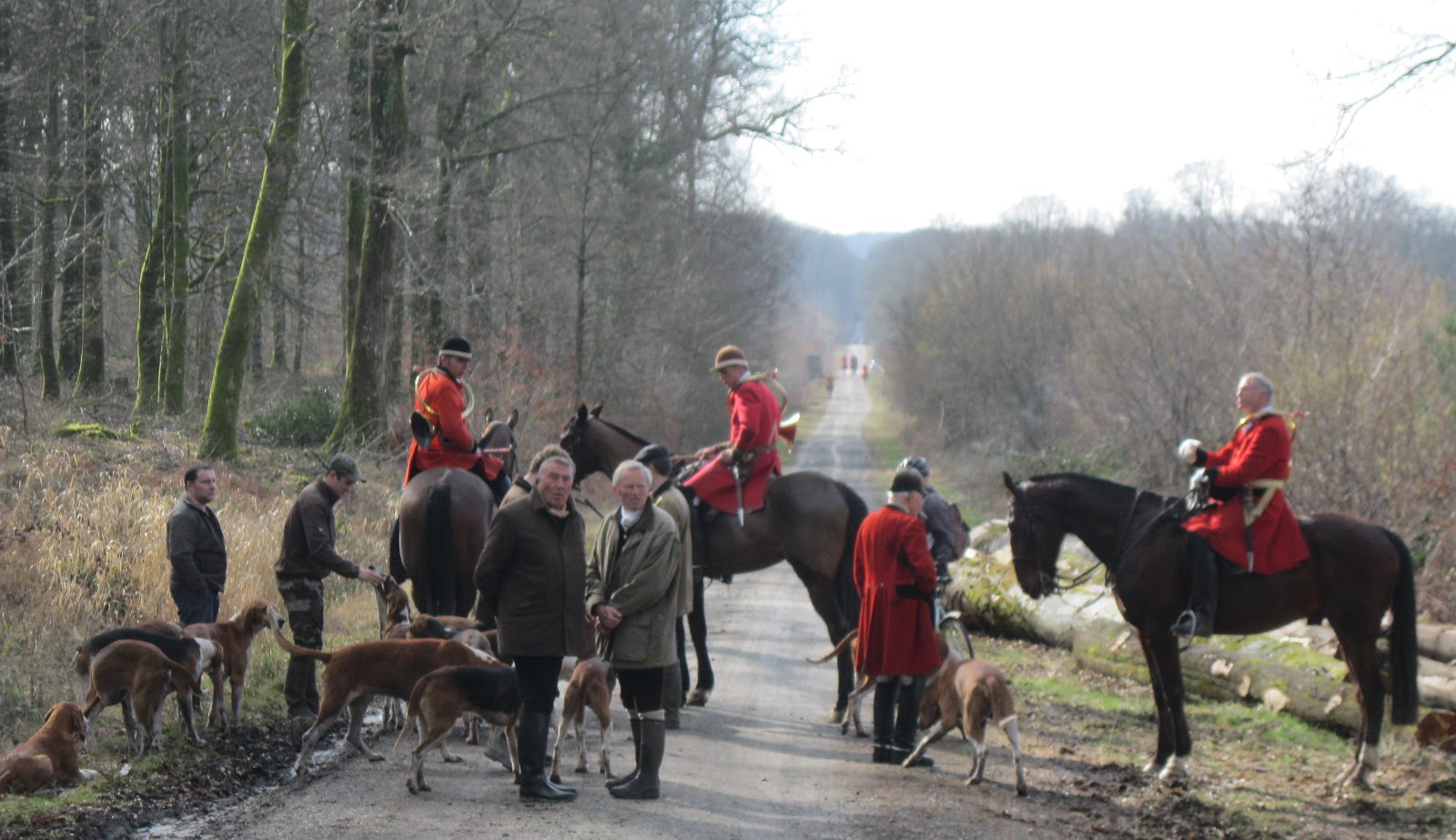 Dragon's Lair Farm - a horse farm: Stag hunting in France