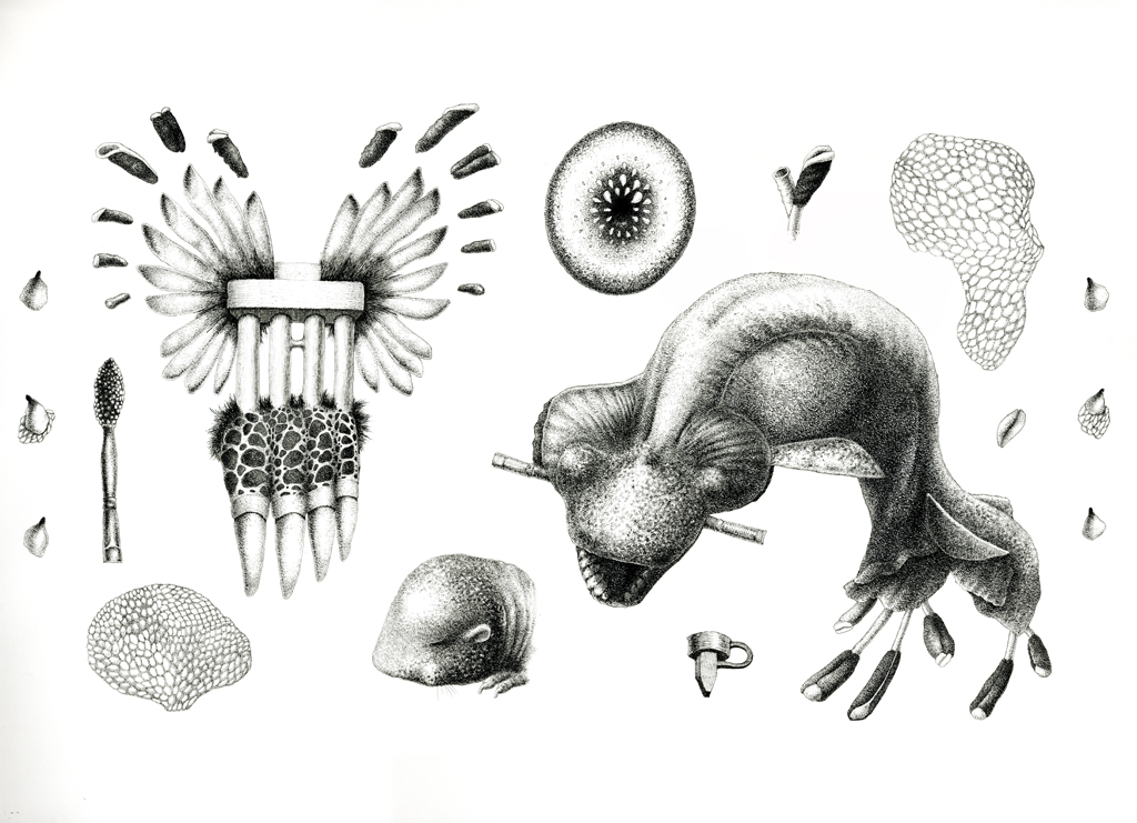 Ruby Rudnick: Detritus