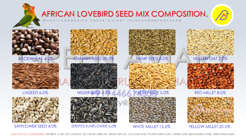 AFRICAN GREY PARROT SEED MIX COMPOSITION