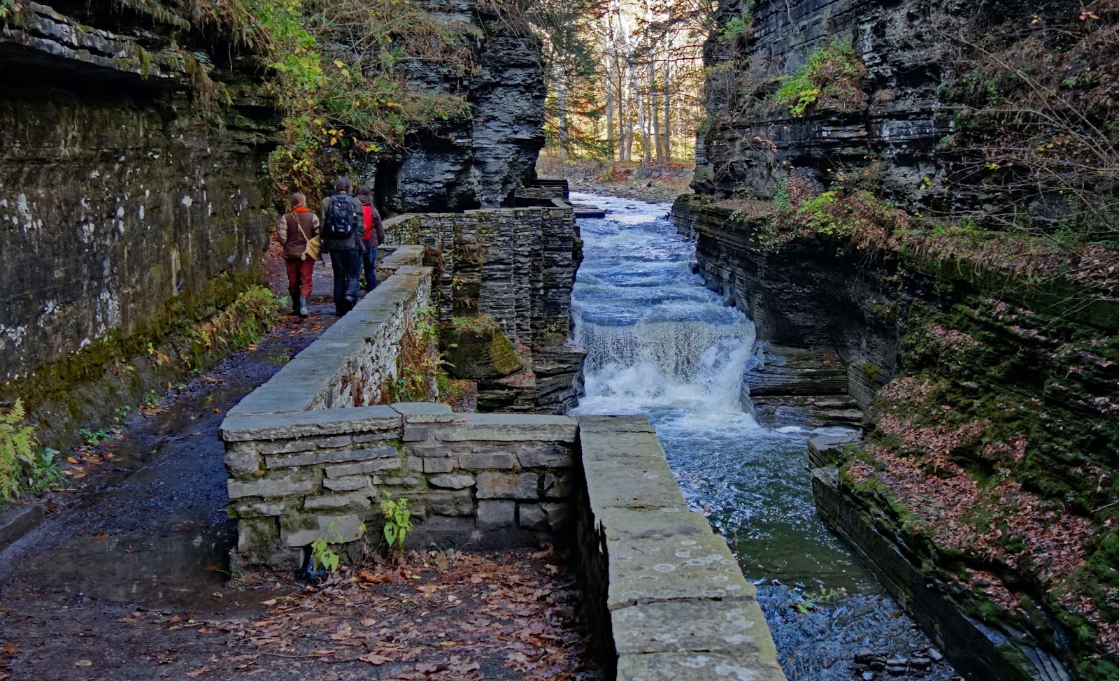 Joe's Retirement Blog: Lucifer Falls, Robert Treman State Park, Ithaca ...