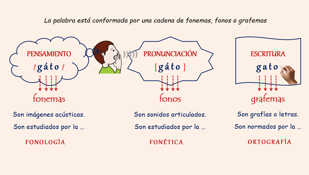 Diferencia Entre Fonetica Y Fonologia Fonologia Fonetica Lenguaje My Xxx Hot Girl