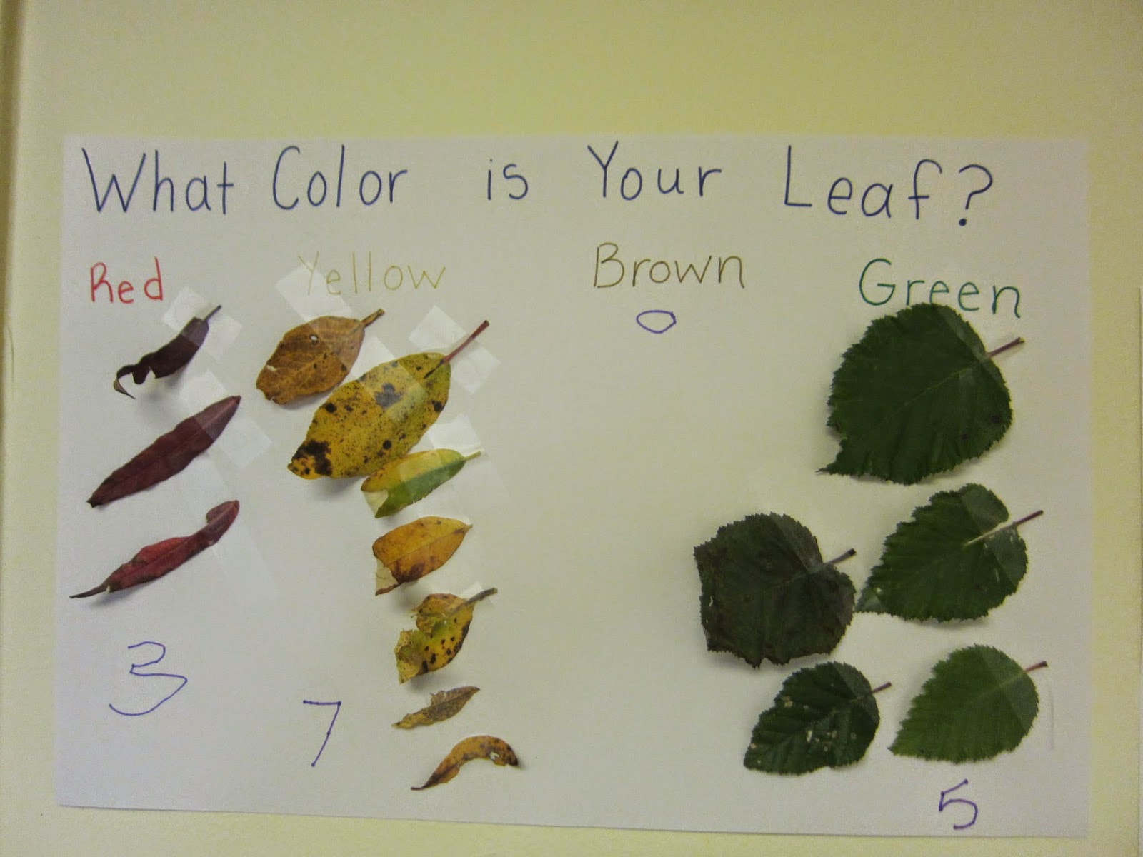 Autumn | Wonderful Kindergarten