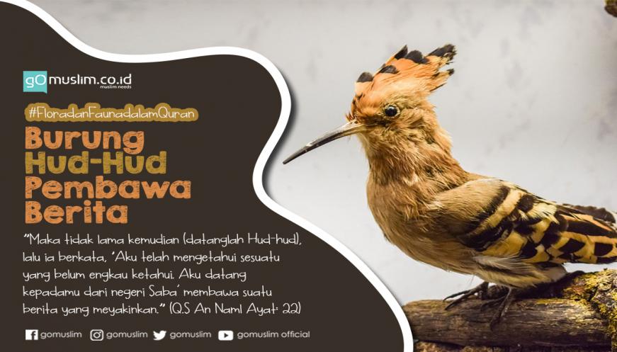 Burung Hud Hud Tanda Kiamat - MosheilVang