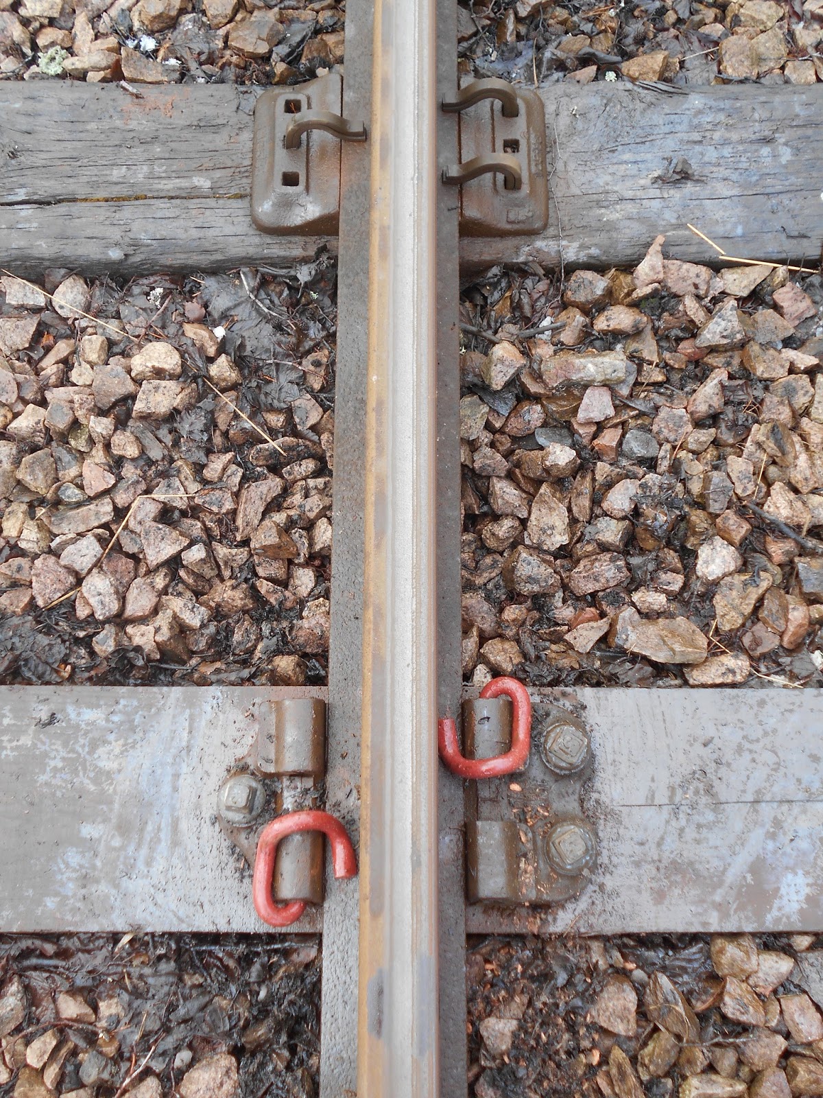 On Track at the Strathspey Railway: Pan 11 Near Broomhill - 5th March 2016