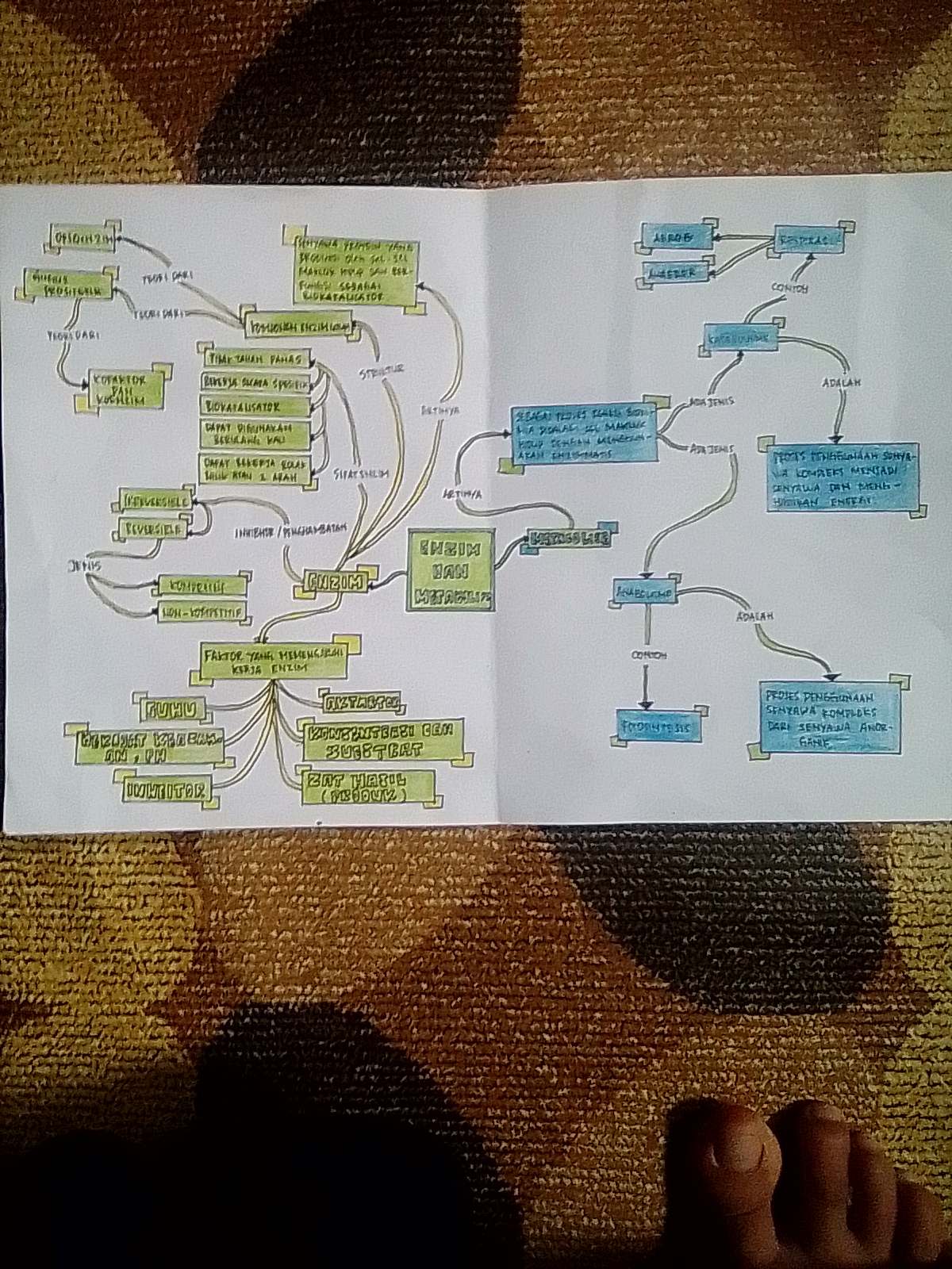 Tugas Mind Mapping Materi Enzim dan Metabolime Kelas XII MIA 1 - Kelas ...