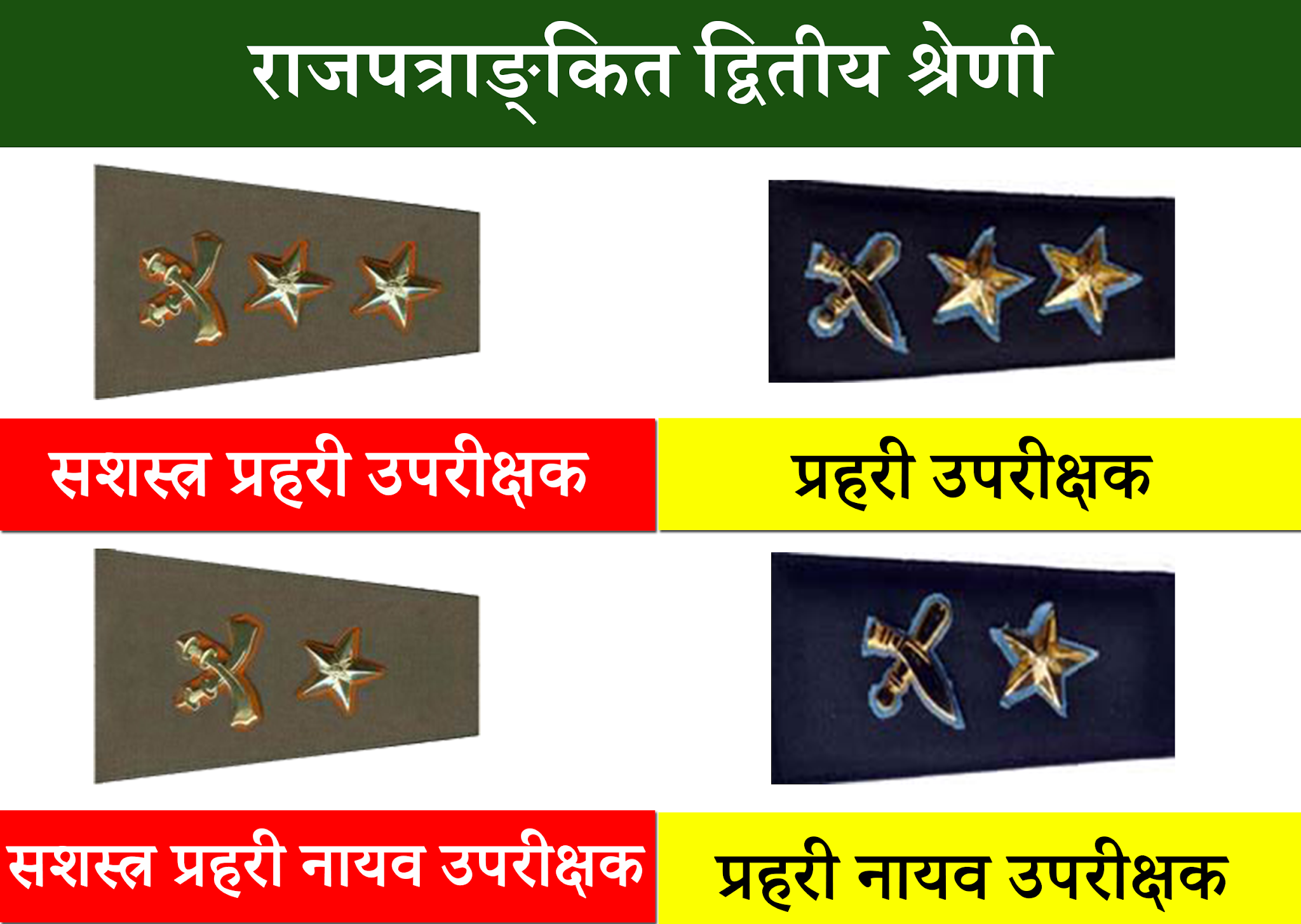 Nepal Police and Armed Police Force Rank Comparison | Chetan TM