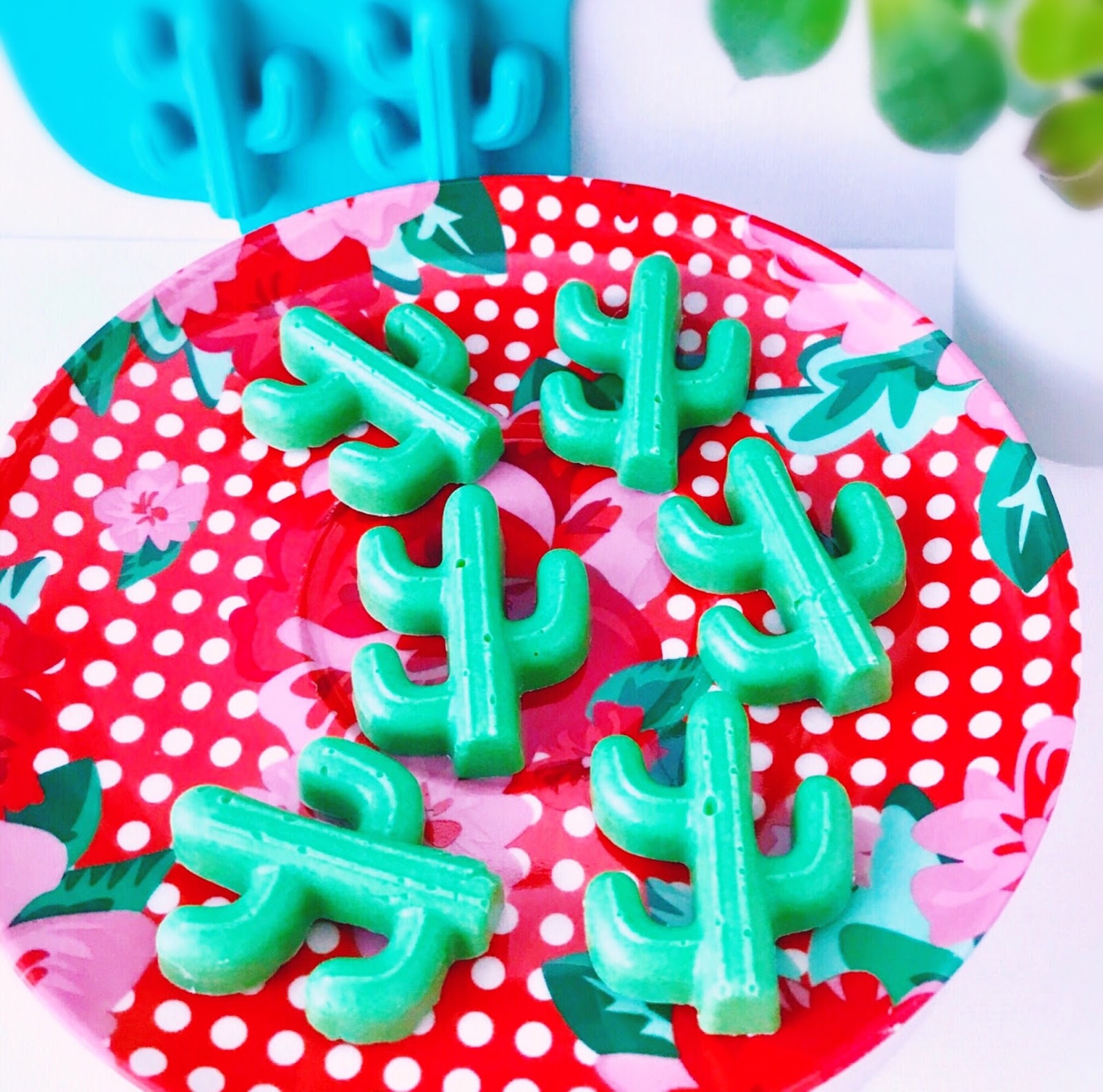 Chocolate Cactus Decorations