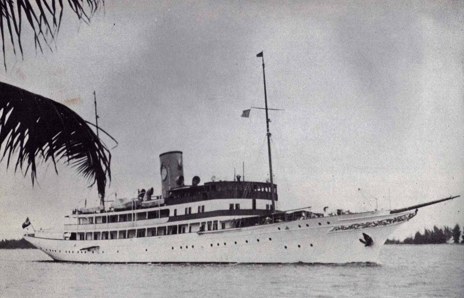 Progress is fine, but it's gone on for too long.: Yacht Southern Cross