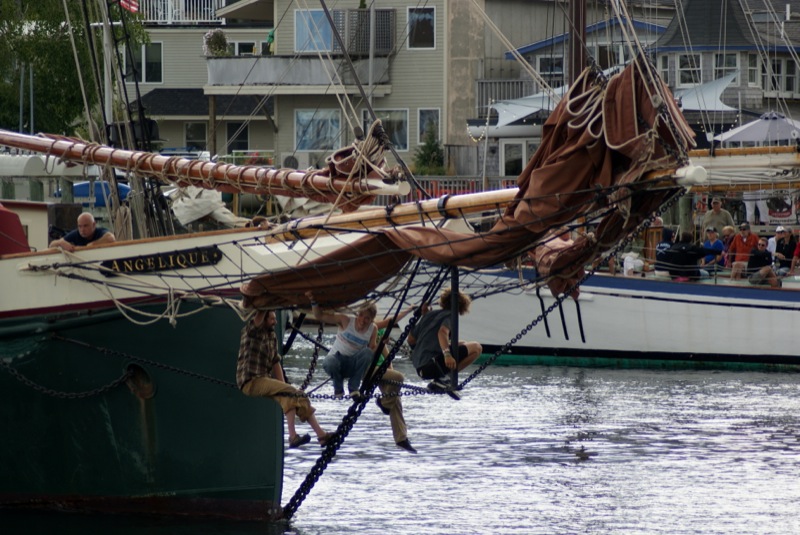 Life in the Slow Lane (The Pearl): Camden Windjammer Festival