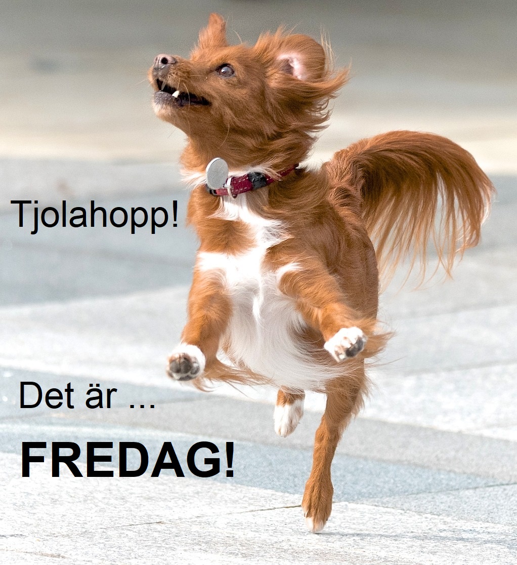 .: FEBRUARIS FÖRSTA FREDAG