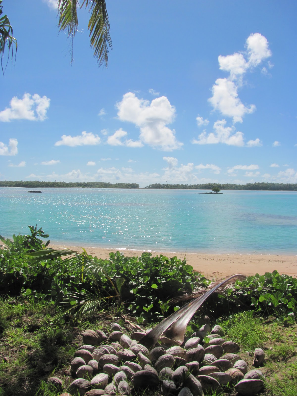 The Tuvalu Traveller