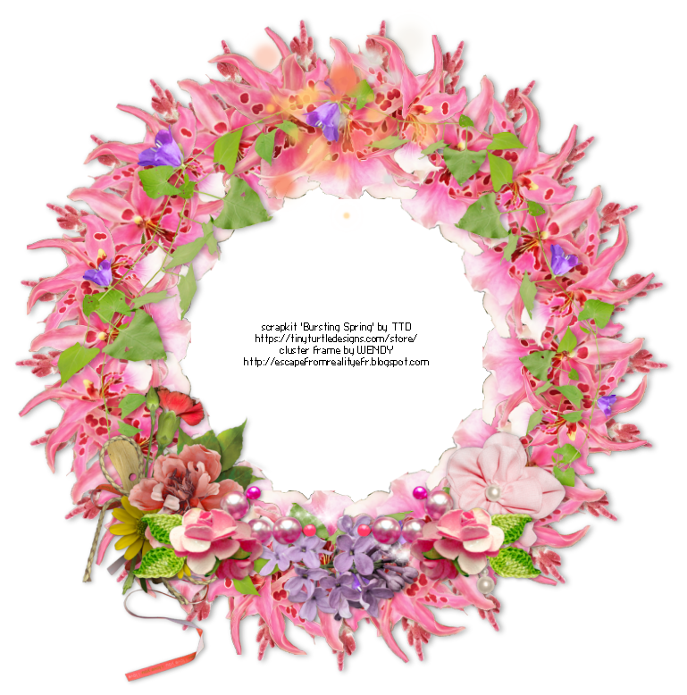 Escape From Reality Blog: FTU 'Bursting Spring' Cluster Frames TTD