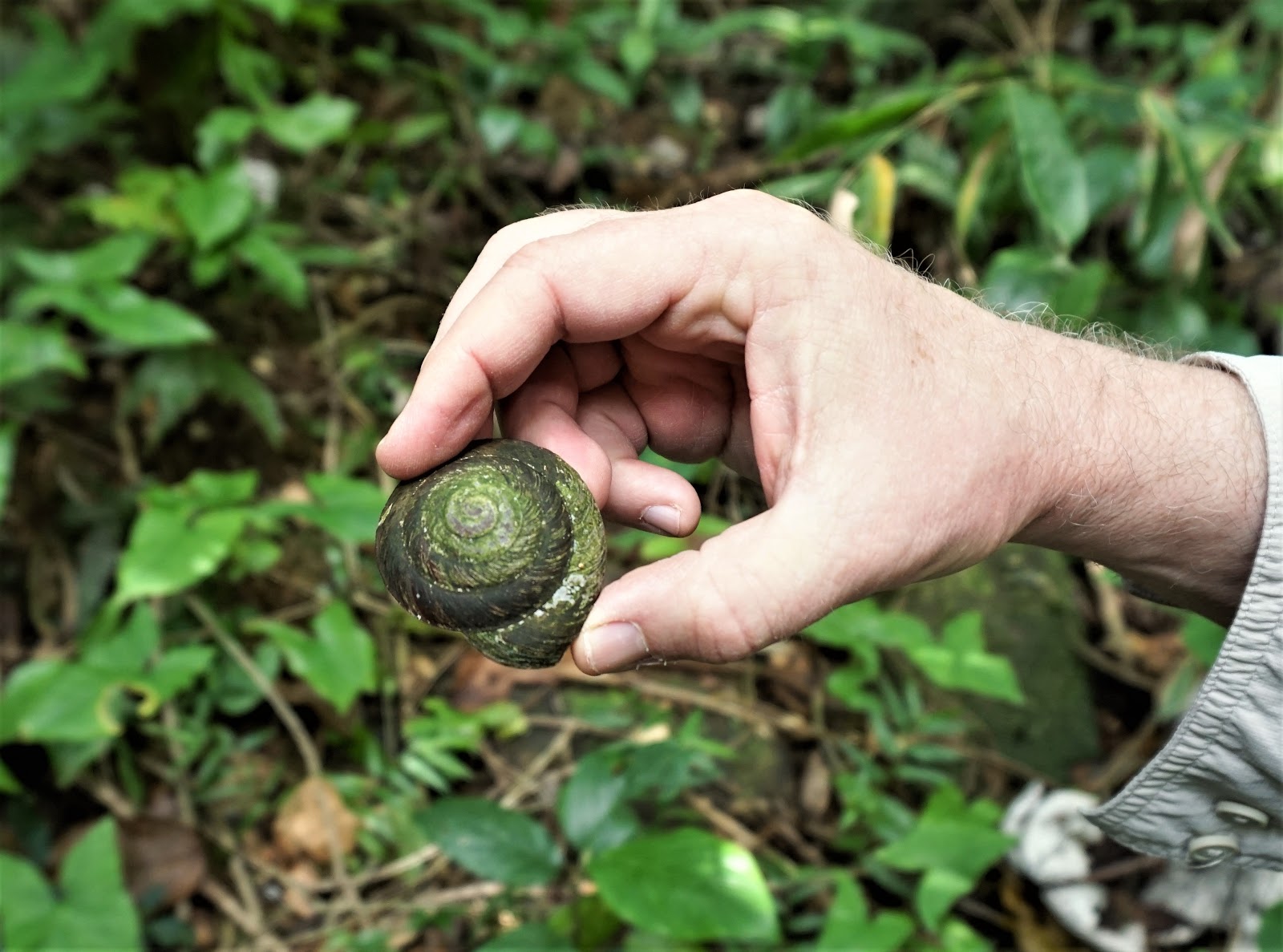 Souvenir Chronicles: PUERTO RICO: ARRIVAL IN SAN JUAN, DINNER IN ...