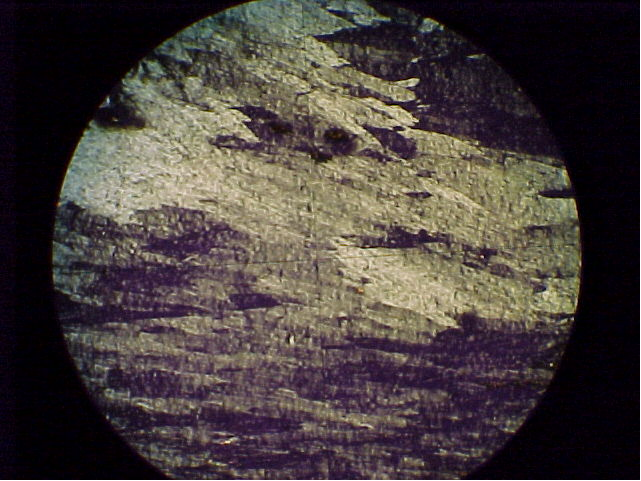 Alexander Simatupang: Thin section of Chlorite