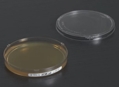 Why do We Expose Media Plates for 4 Hours in Cleanroom Areas ...