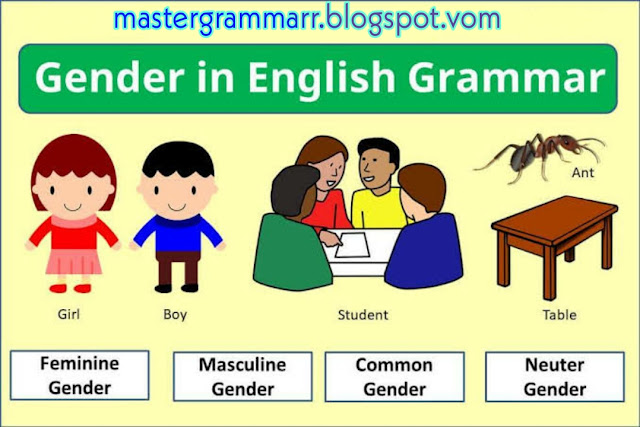 Nouns- Gender | Master Grammar