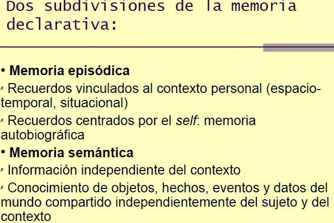 NEURO: MEMORIAS Y SINDROMES AMNÉSICOS,Fabulacion,Lesiones,