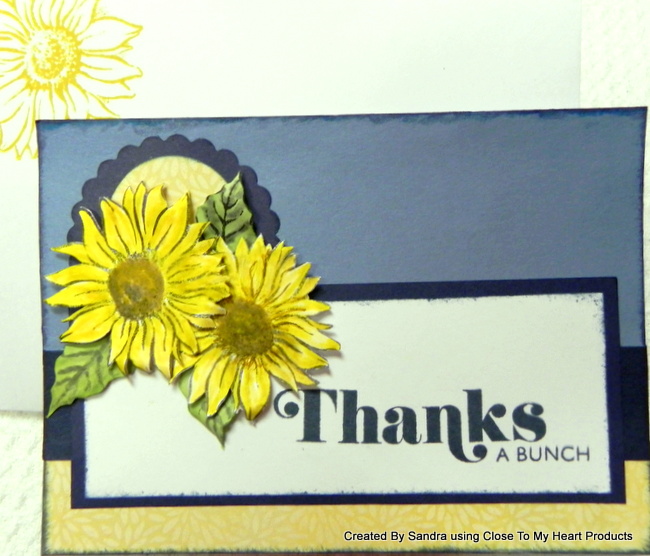 "OH MY SCRAPS !!" with S`andra V. : Cards