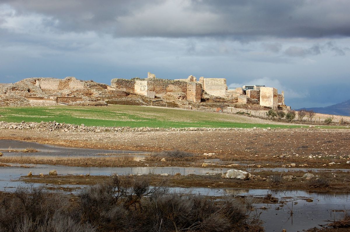 ALMANAQUE NATURAL: noviembre 2012