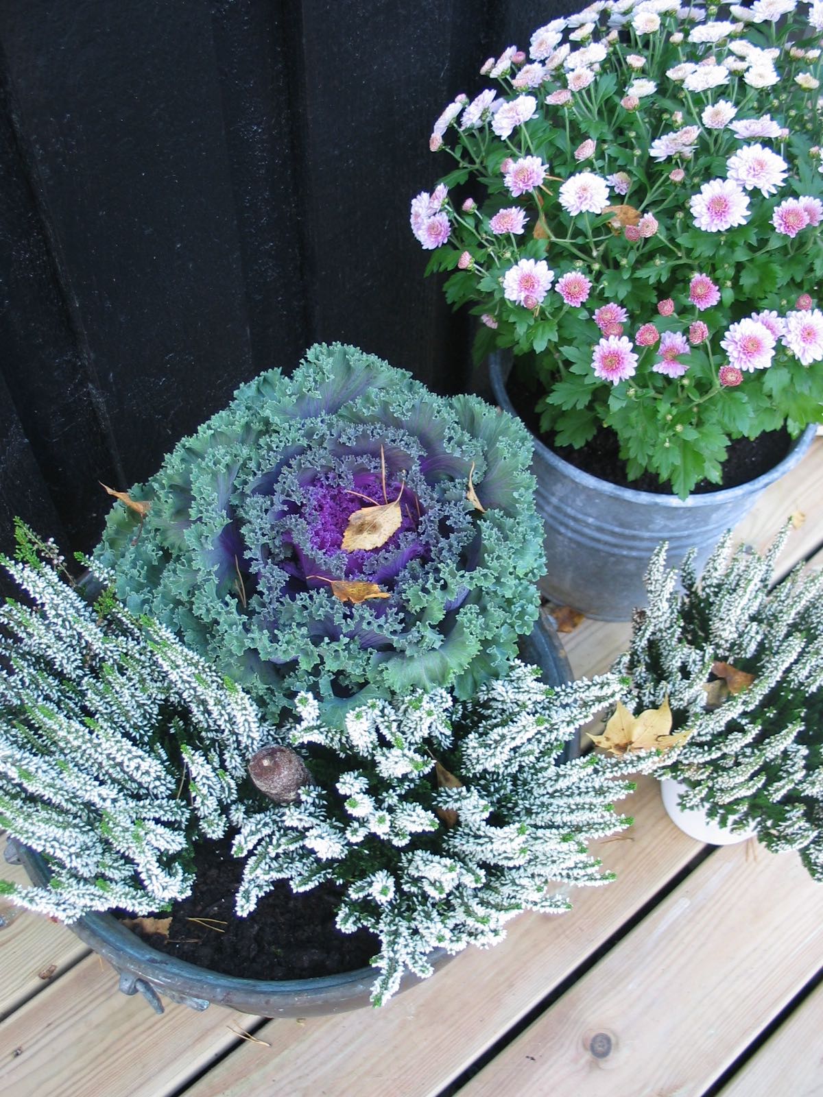 apinalandia: Juhlan jälkeen