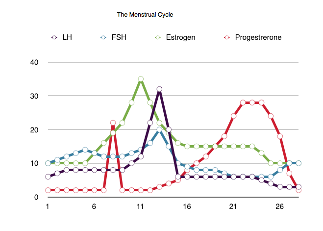 DPAPBio: The menstrual cycle graph